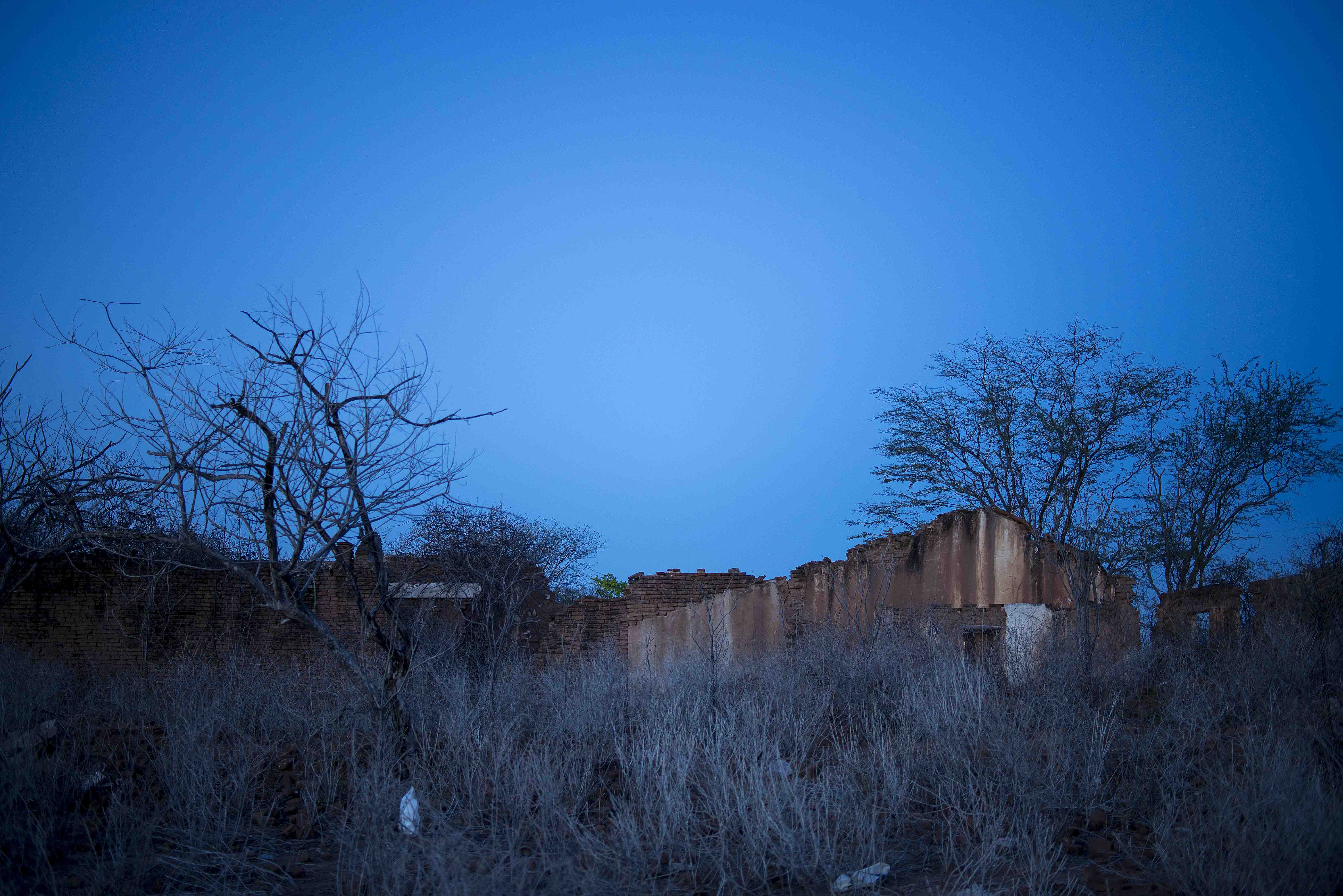 Exposição "Cococi" tem abertura nesta terça-feira, 10/5, às 19h, na ...