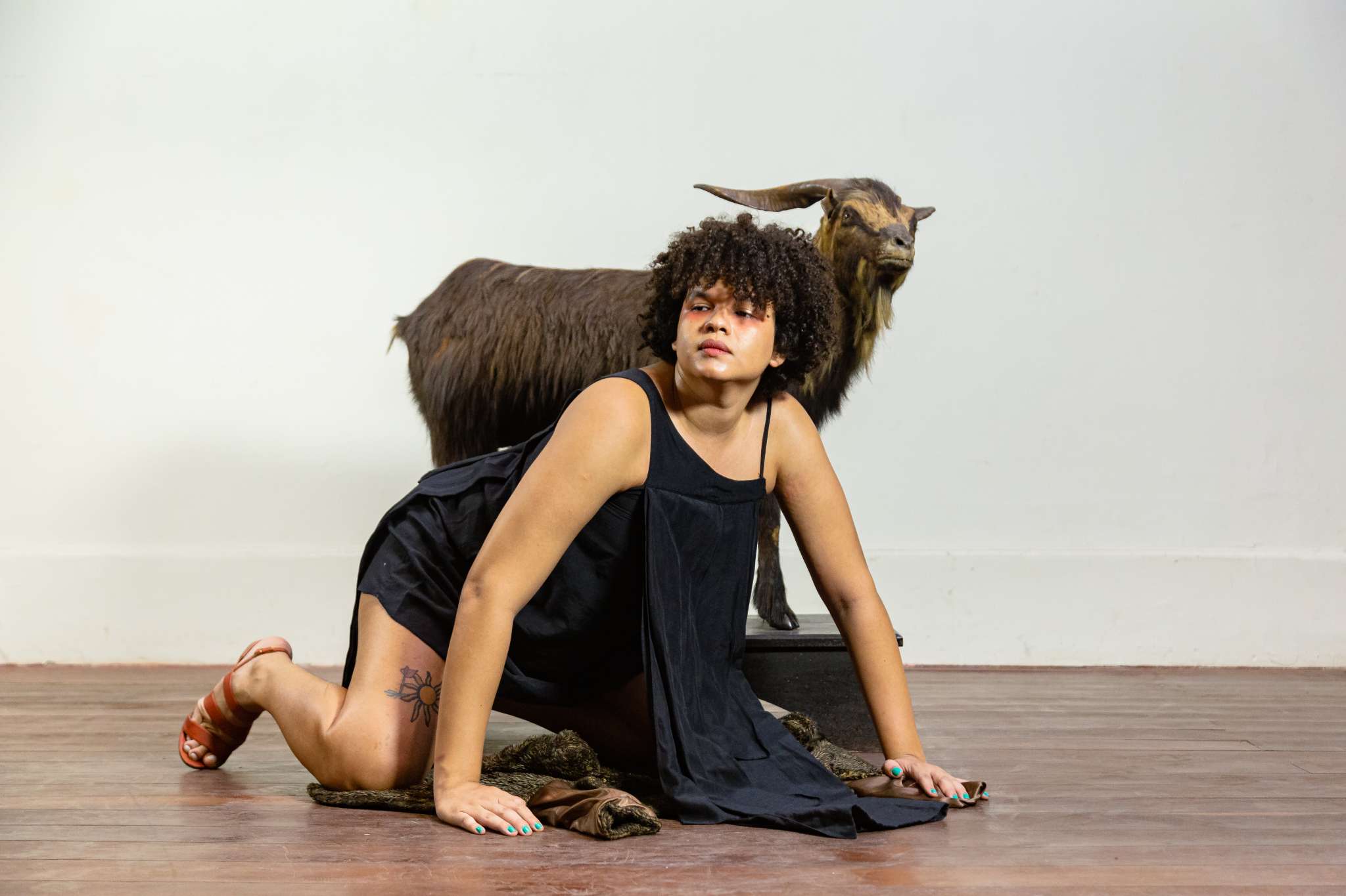 Museus do Dragão do Mar abrem itinerância do Bode Ioiô pela Rede de ...